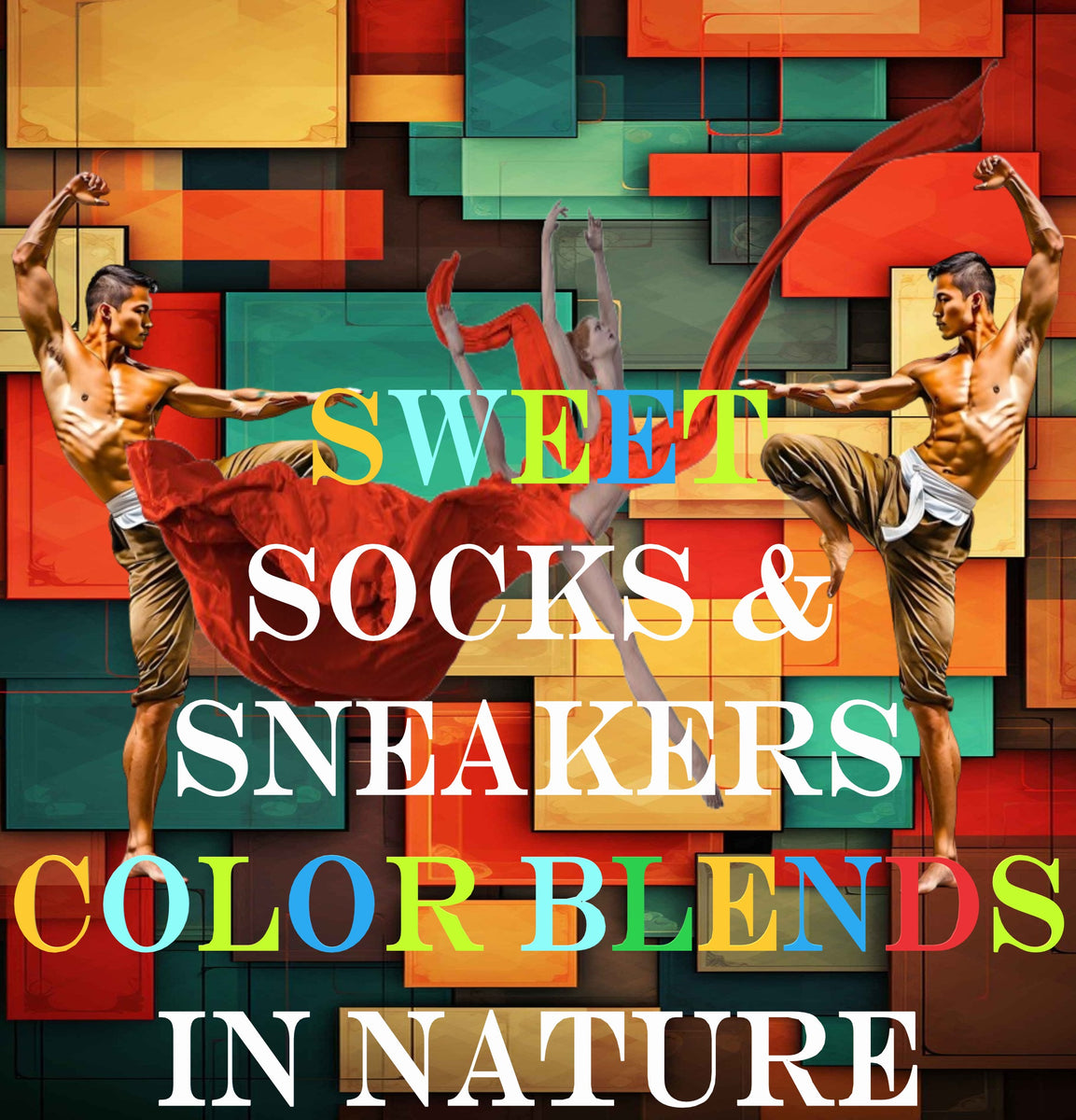 Sweet Sock Company of New York – SWEET SOCK & SNEAKER CO. OF NEW YORK- NATURE'S MOST COLORFUL ...